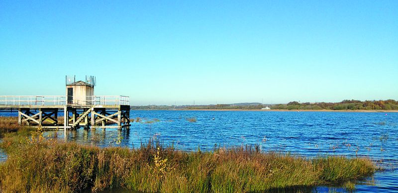 Explore Nearby - Creative Chase