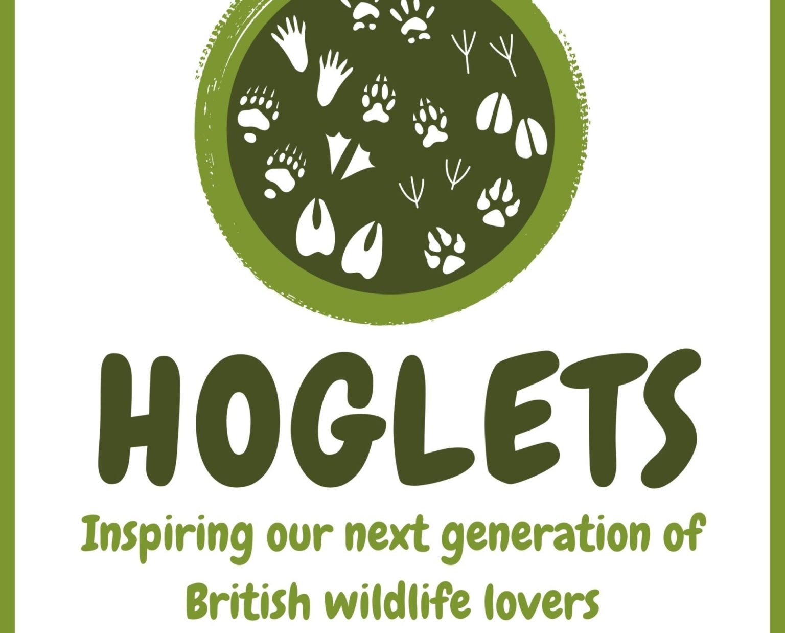 Hoglets at Rugeley Library - Creative Chase